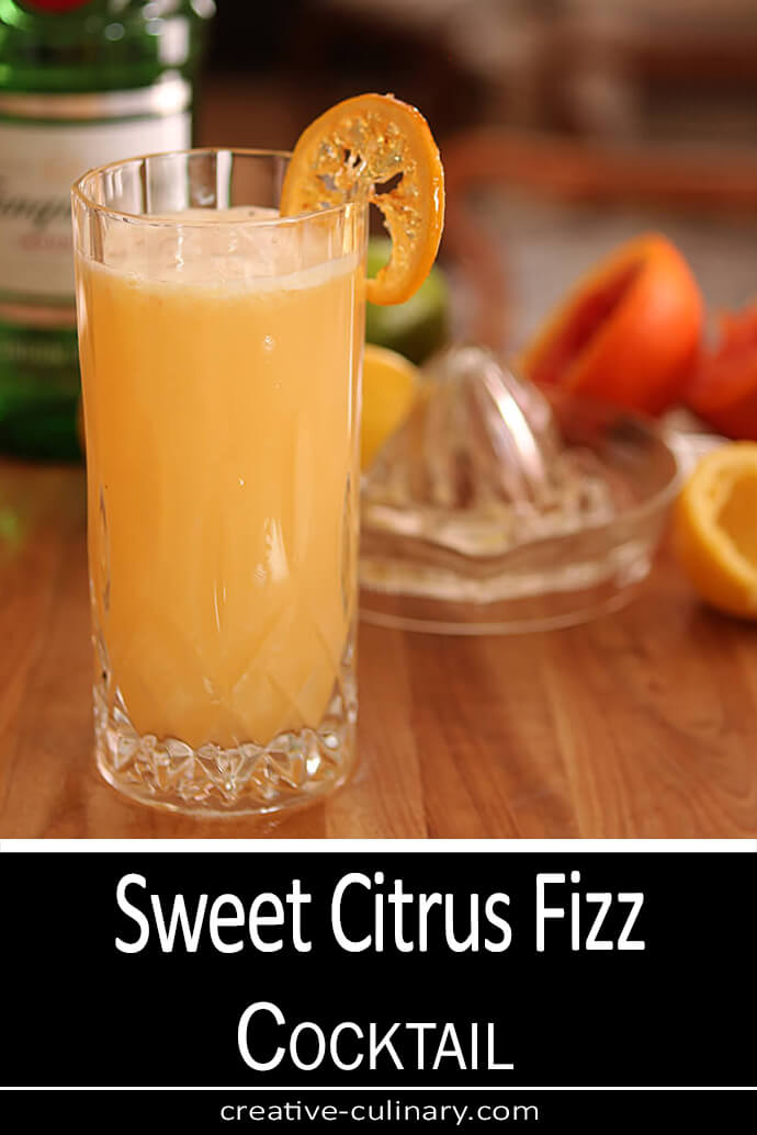 Sweet Citrus Fizz Cocktail - Creative Culinary